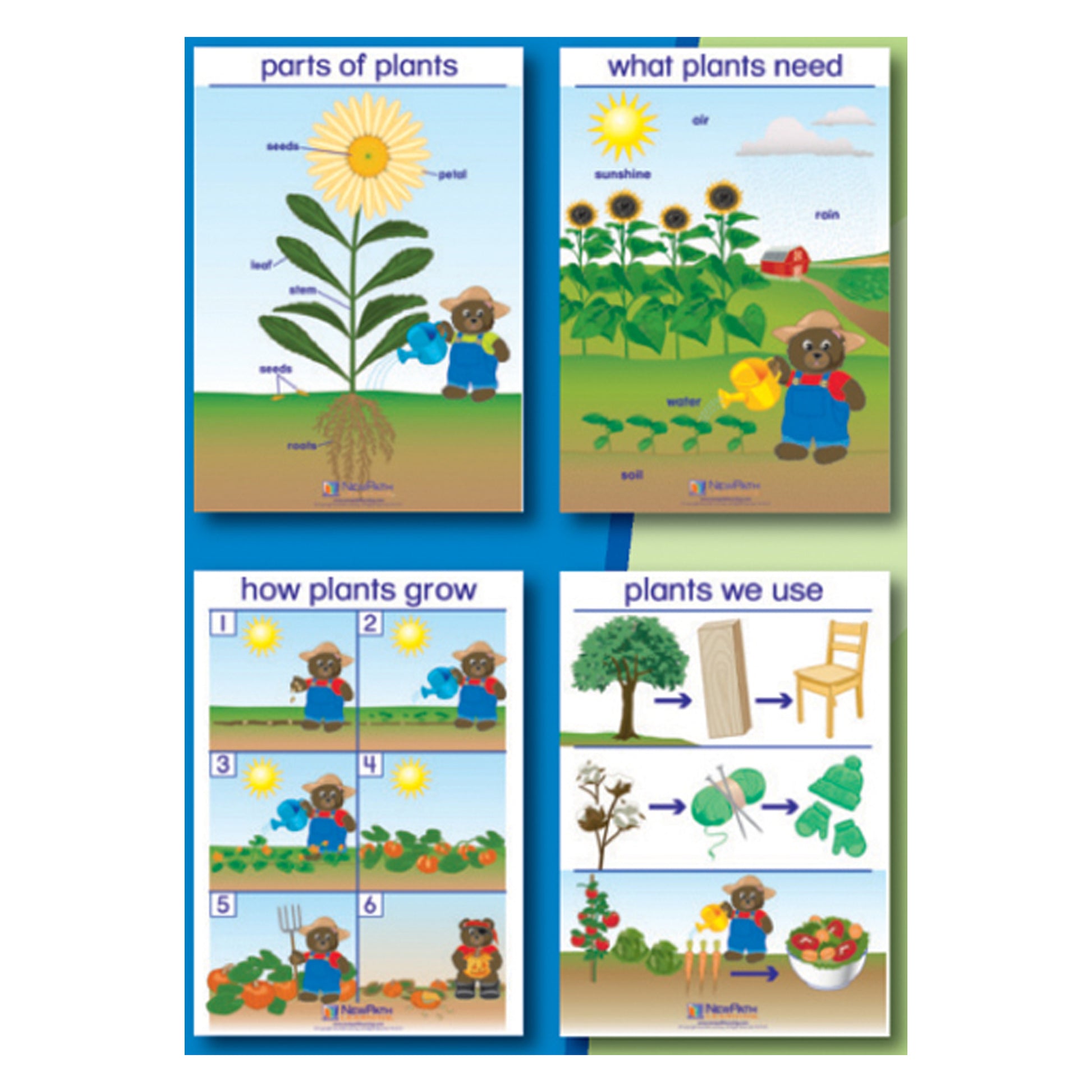 Early Childhood Science Readiness Flip Charts, All About Plants – K12 ...