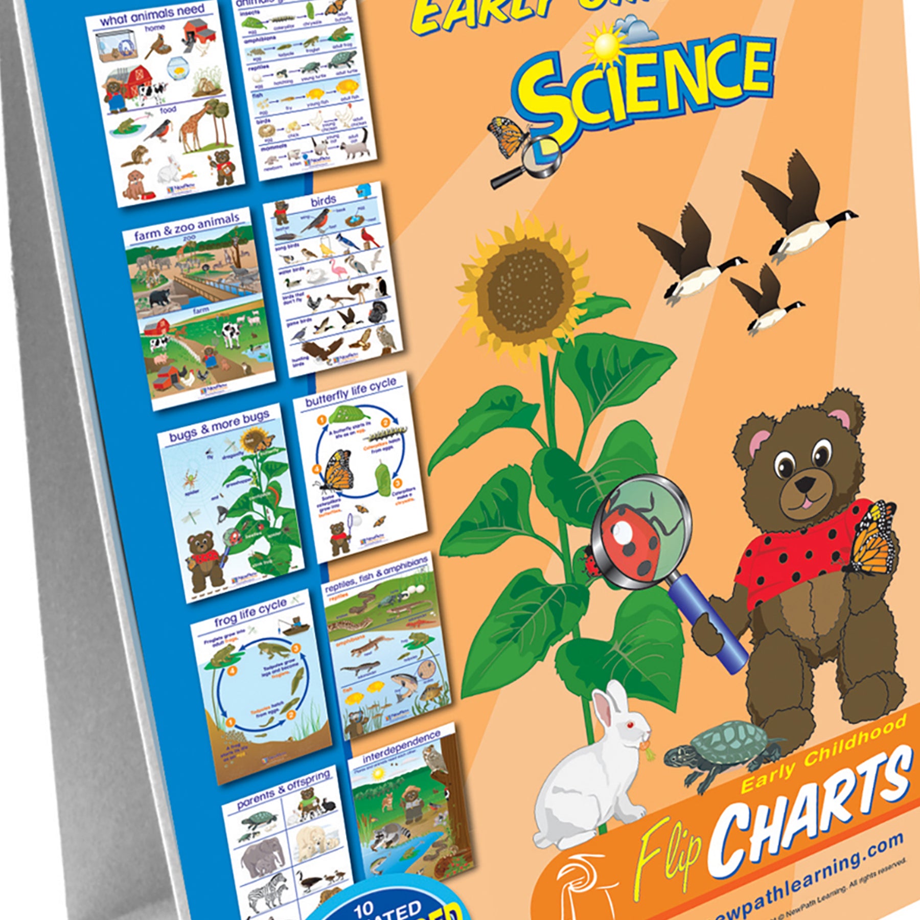 Early Childhood Science Readiness Flip Charts, All About Animals – K12 ...